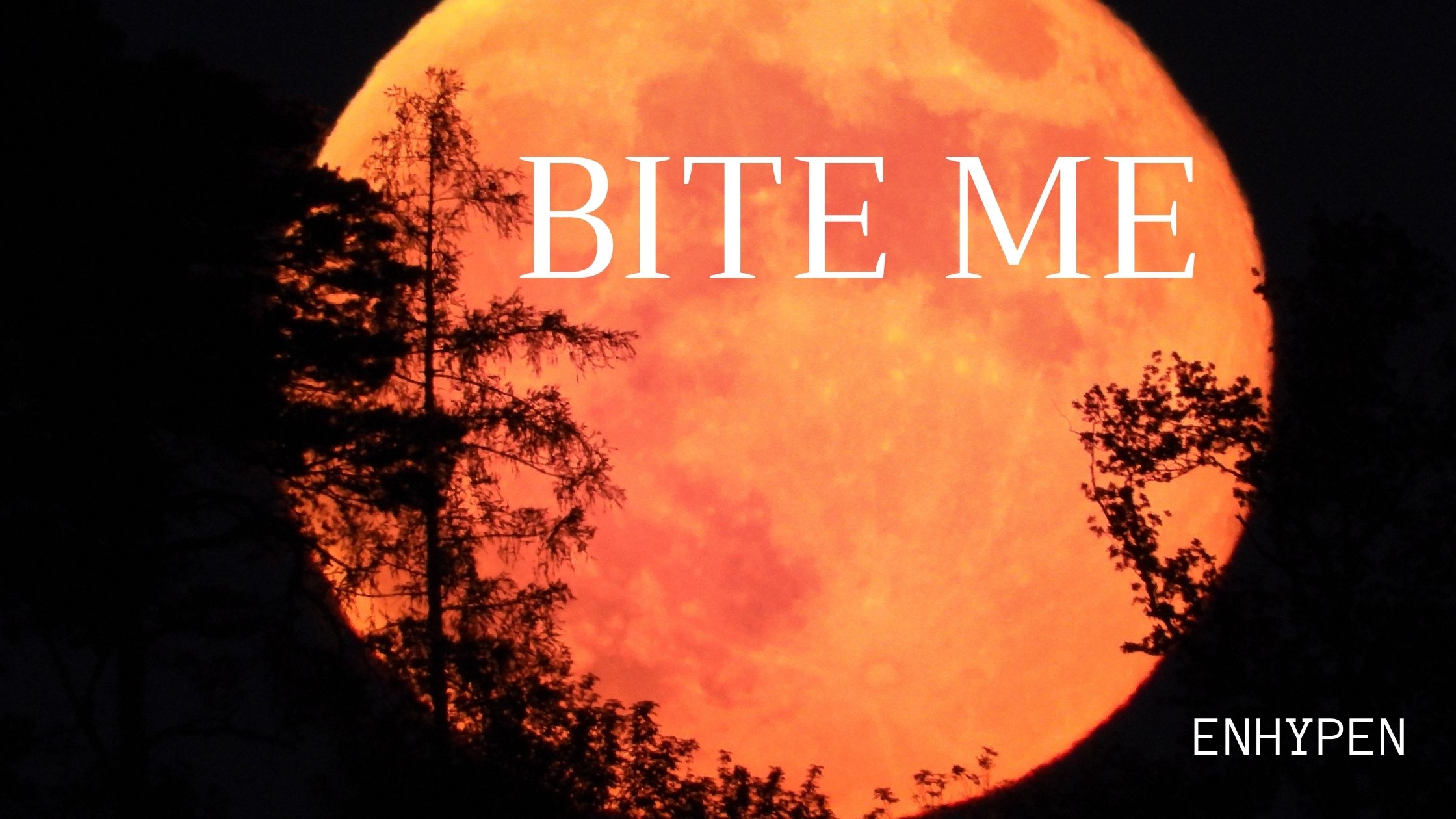 「Bite Me」の歌詞和訳・カナルビ・応援法【DARK BLOOD】｜shikaのひらめき